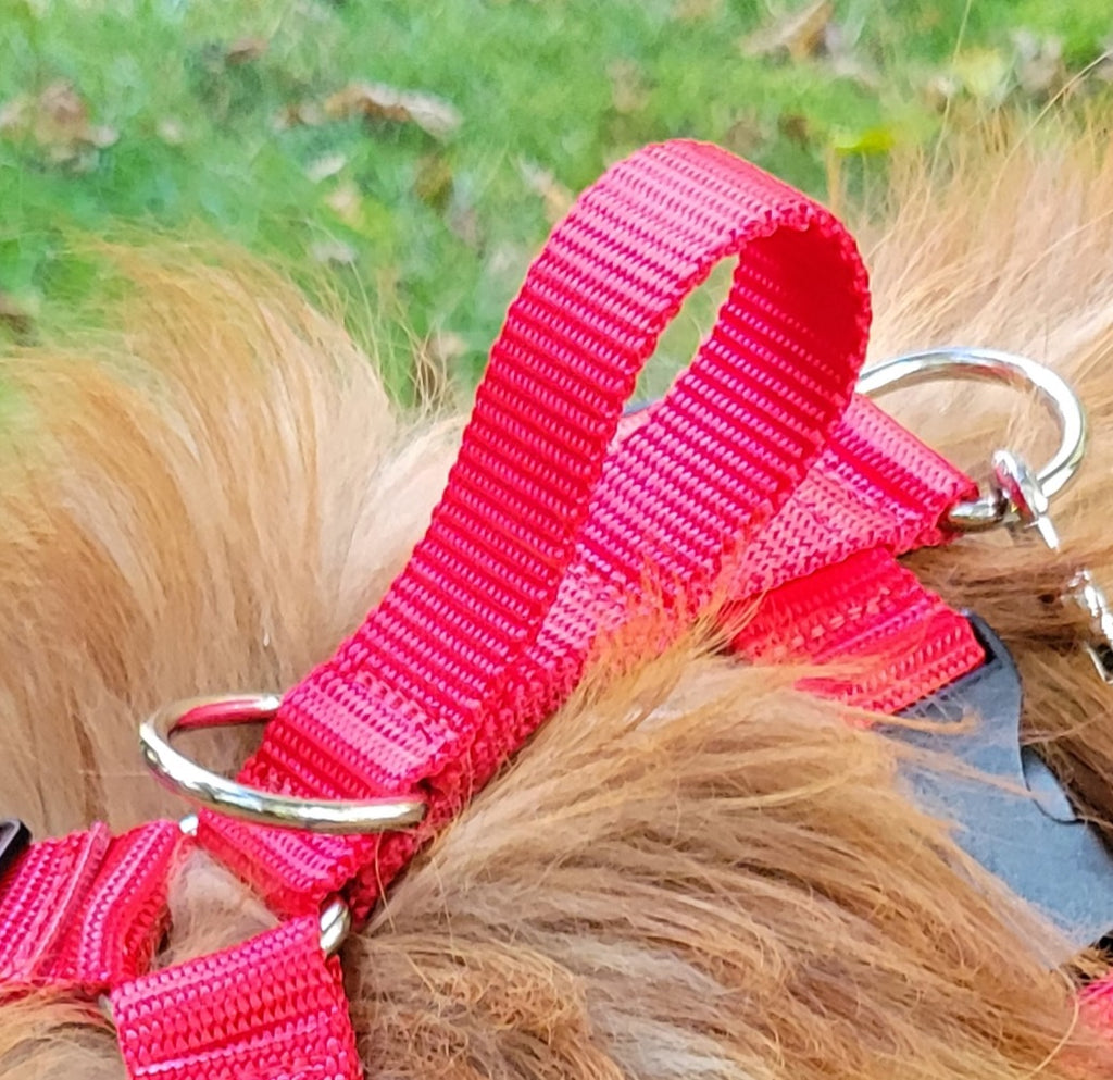 Dog Flyball Harness – Fidogear